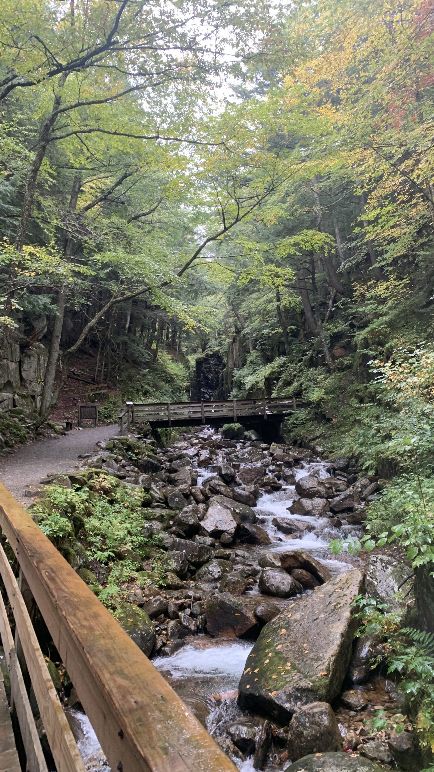 New Hampshire's Flume Gorge & Kancamagus Scenic Byway